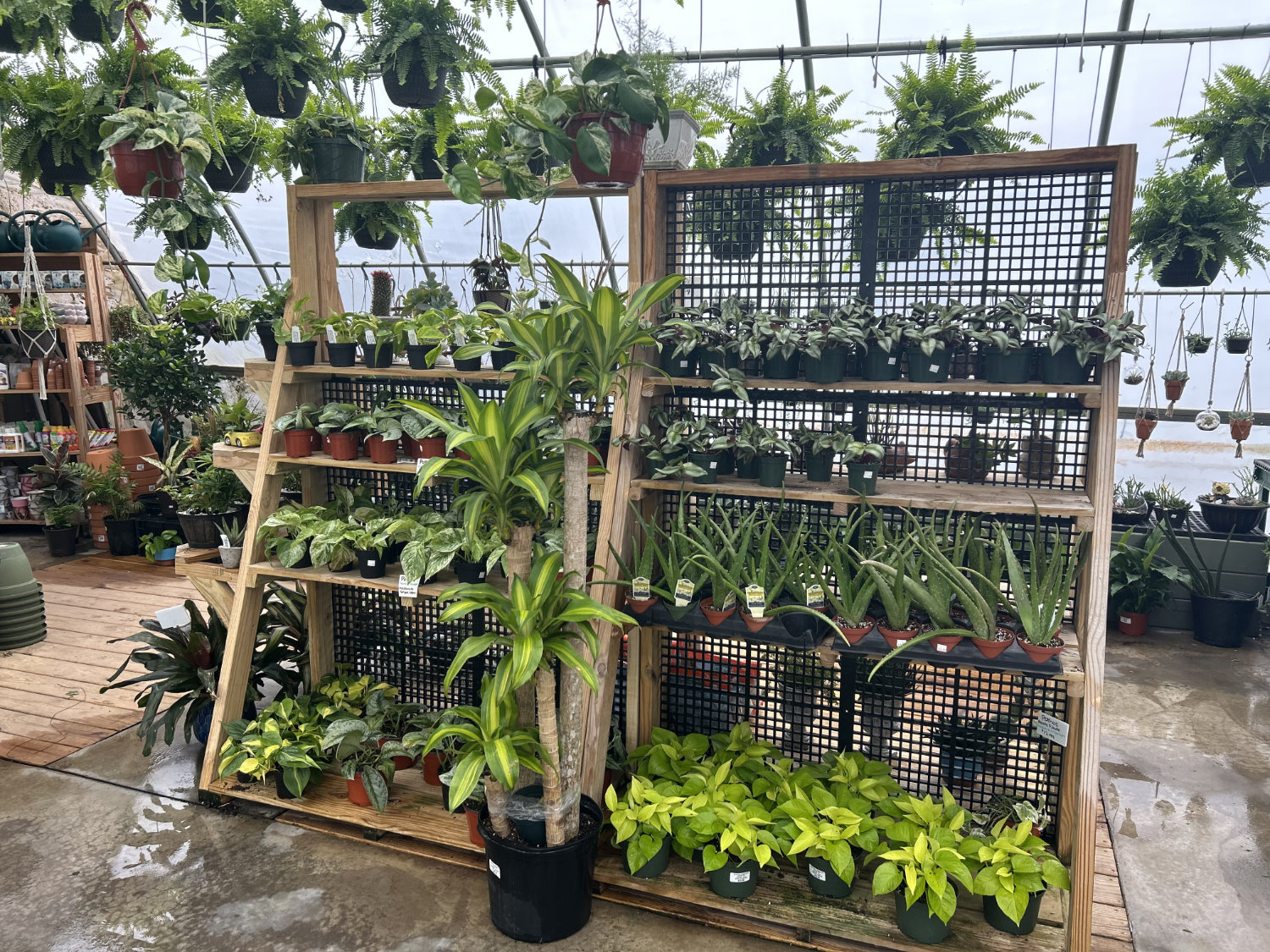 Home - Mackeyville Greenhouse & Marketplace