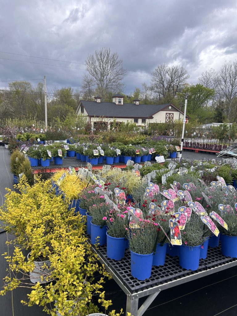 Home - Mackeyville Greenhouse & Marketplace