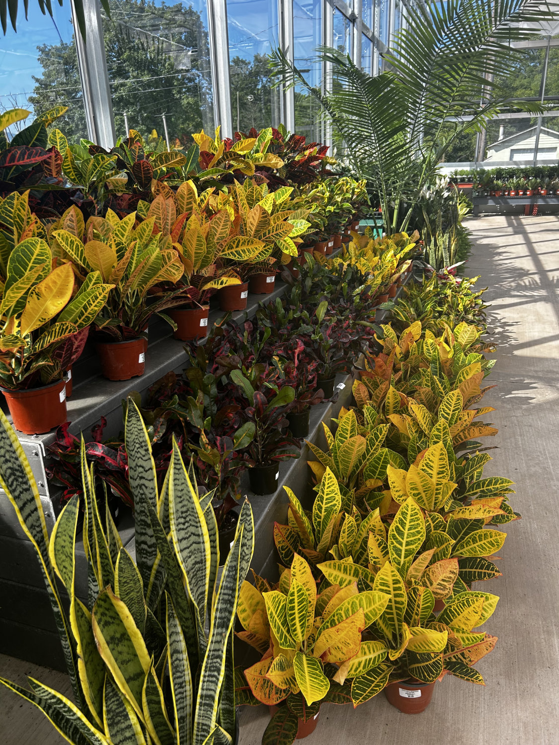 Home - Mackeyville Greenhouse & Marketplace