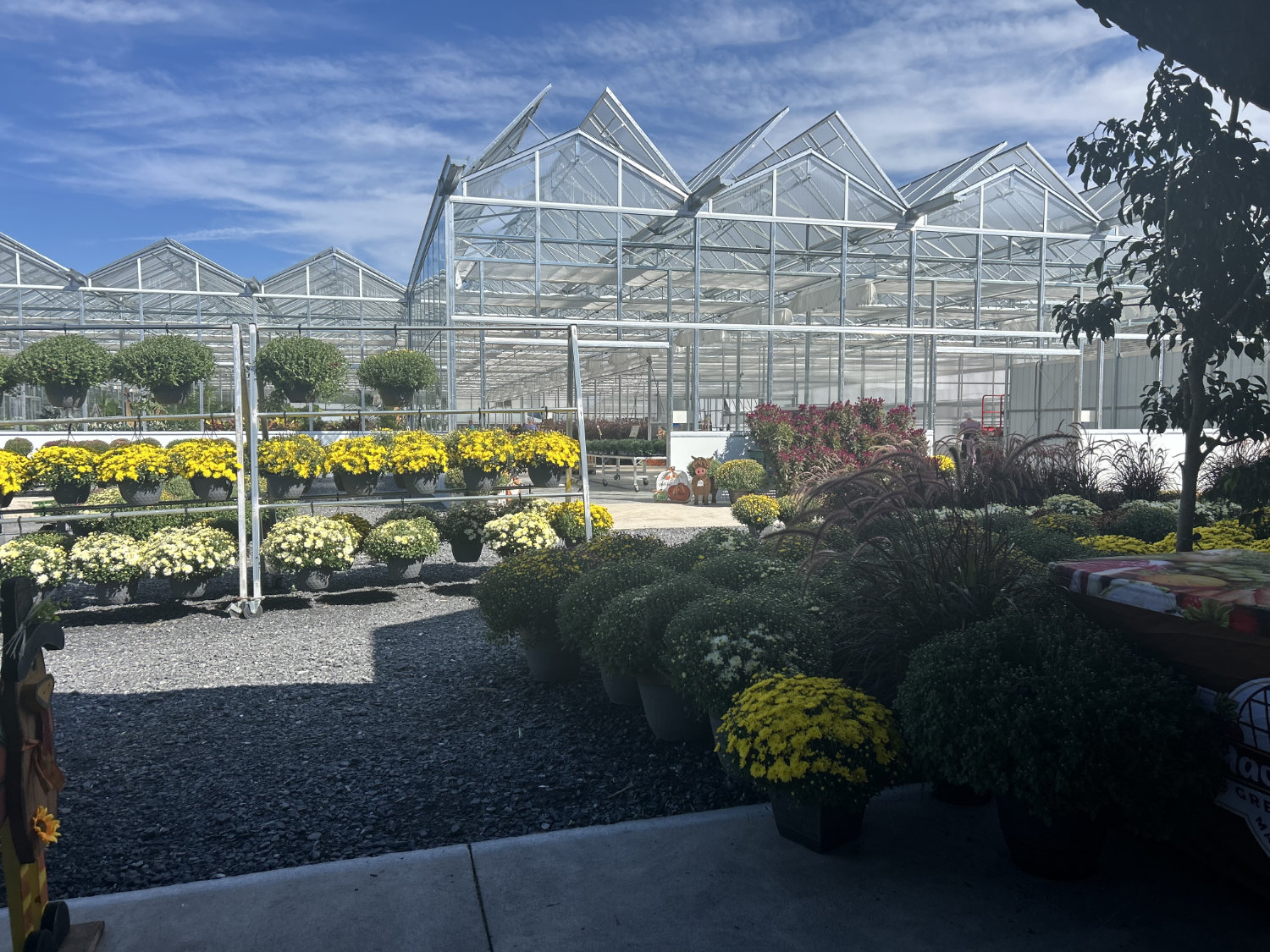 Home - Mackeyville Greenhouse & Marketplace