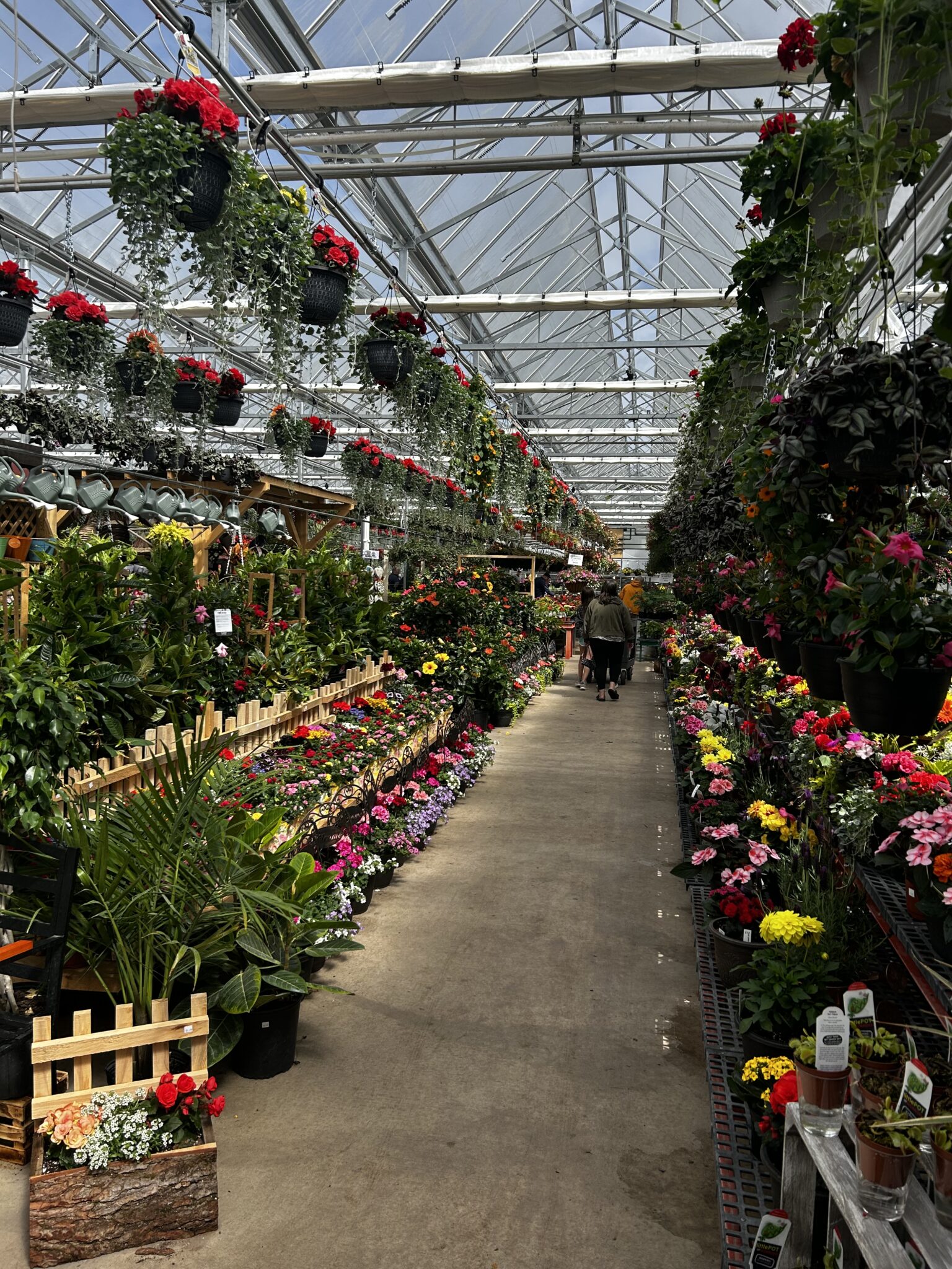 Home - Mackeyville Greenhouse & Marketplace